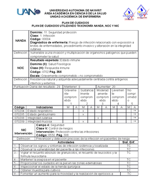 Plan de cuidados perfusion cerebral ineficaz NANDA, NOC, NIC ...
