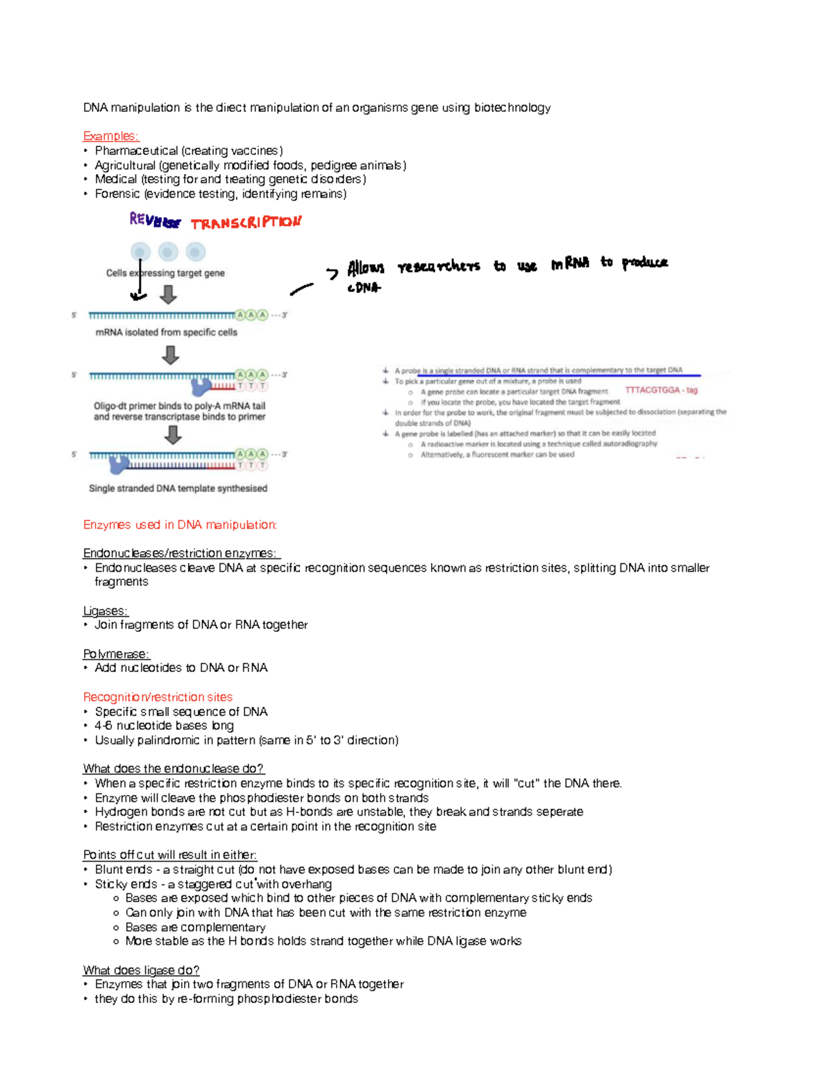 DNA Manipulation Techniques and Applications: TSFX VCE Unit 3 Biology ...