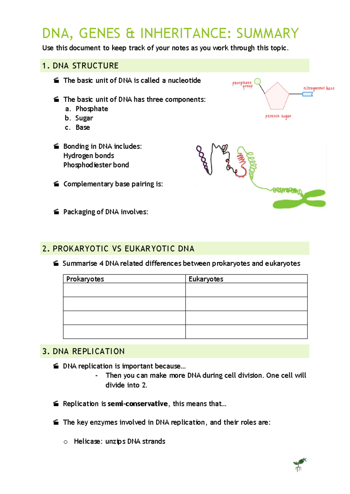 DNA, Genes & Inheritance Summary: Key Concepts & Differences - Studocu