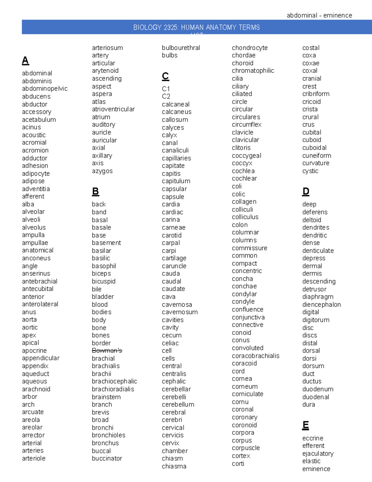 BIOLOGY 2325: Human Anatomy Terms List - Abdominal to Eminence - Studocu