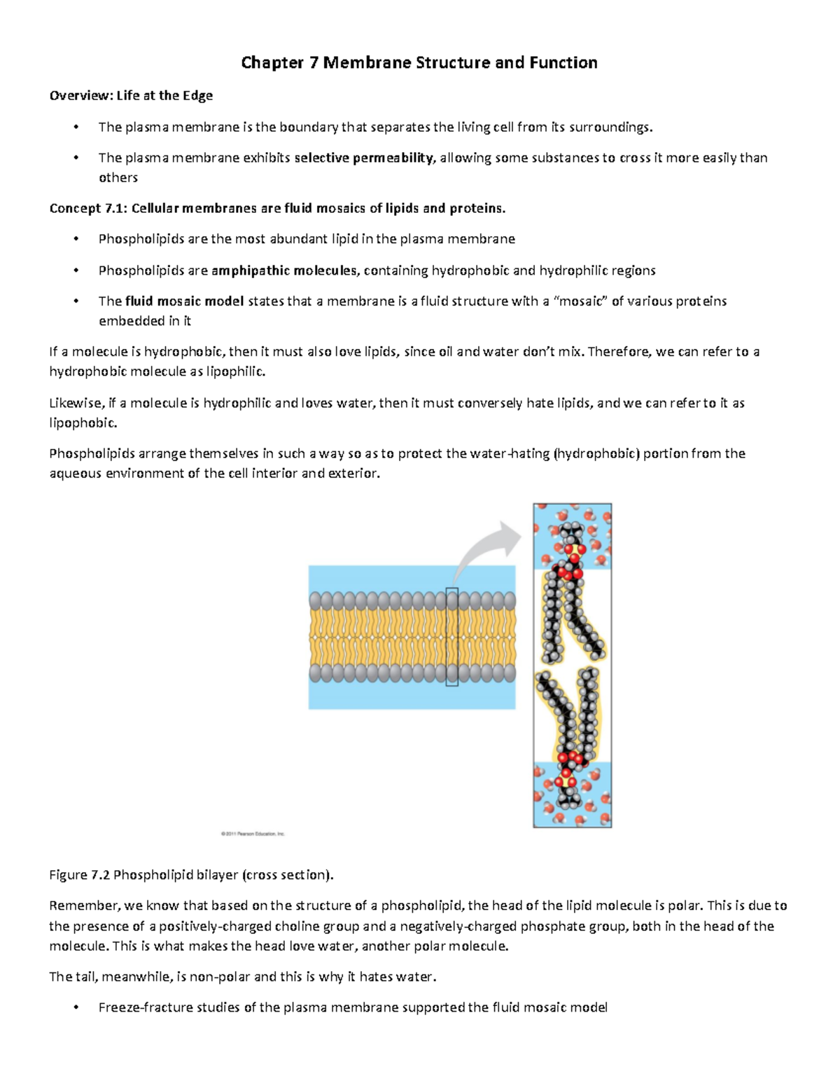 Chapter 7: Understanding Membrane Structure and Function - Studocu