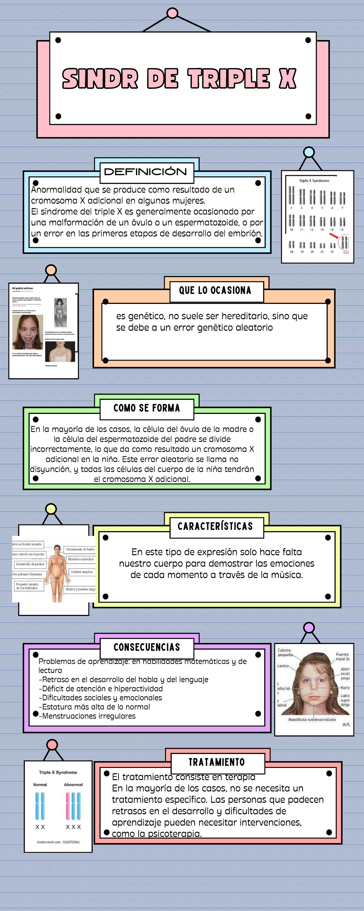 Síndrome Triple X: Definición, Características y Tratamiento - Studocu