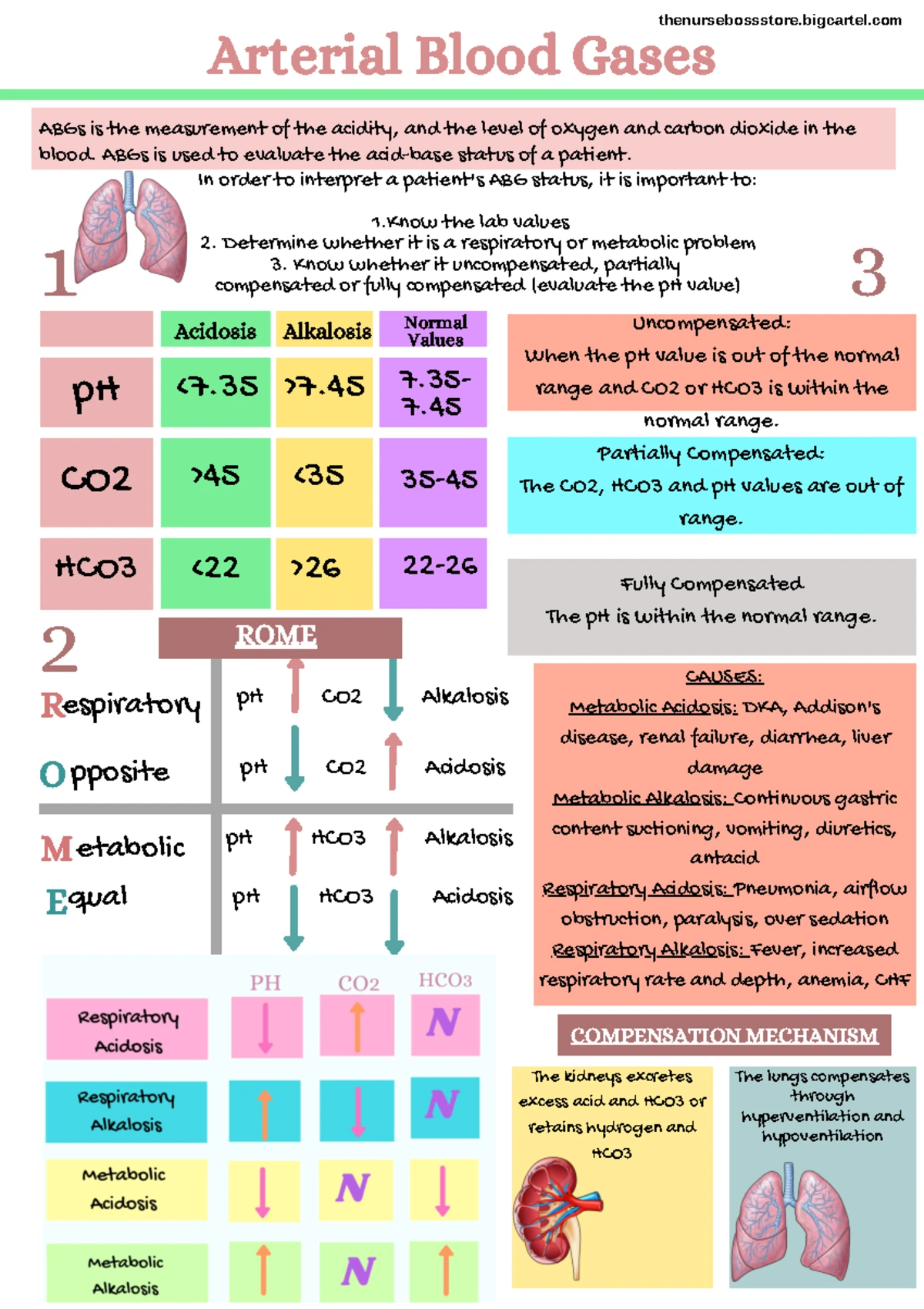 Basic Concept Template - Performance Appraisal: Active Learning A - Studocu