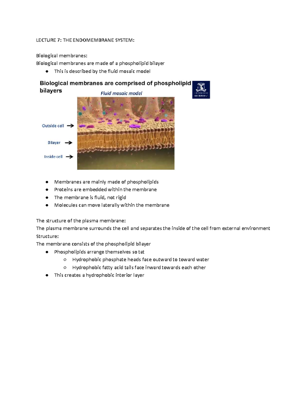 LECTURE 7-8: The Endomembrane System and Eukaryotic Evolution - Studocu