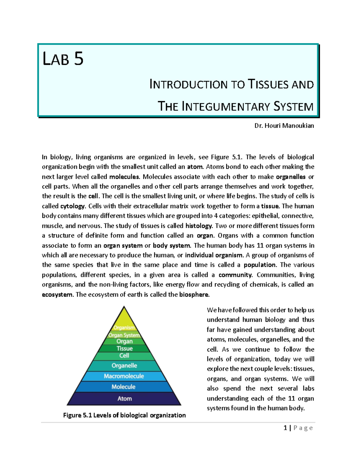Lab 5 - Exploring Tissues and the Integumentary System (BIO101) - Studocu