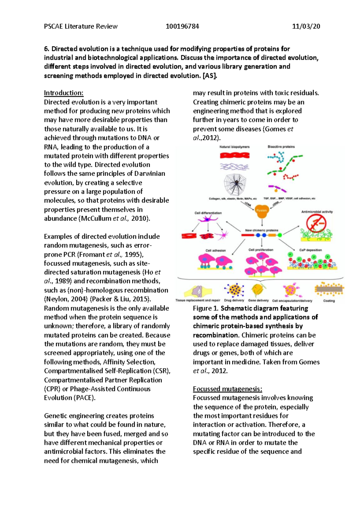 Directed Evolution in Protein Engineering: Chemistry & Structure [AS ...