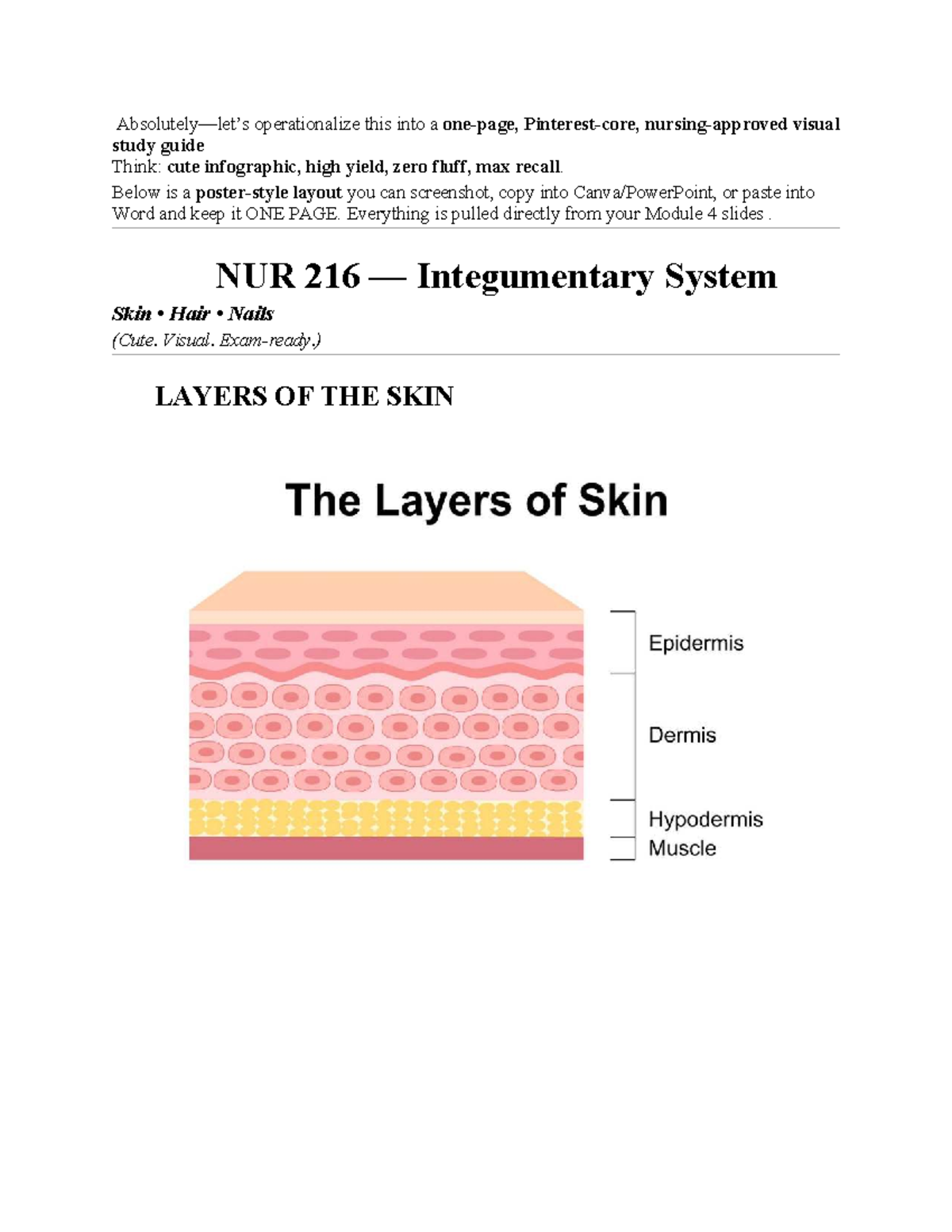 NUR 216 Integumentary System Study Guide: Visual Infographic & Key ...