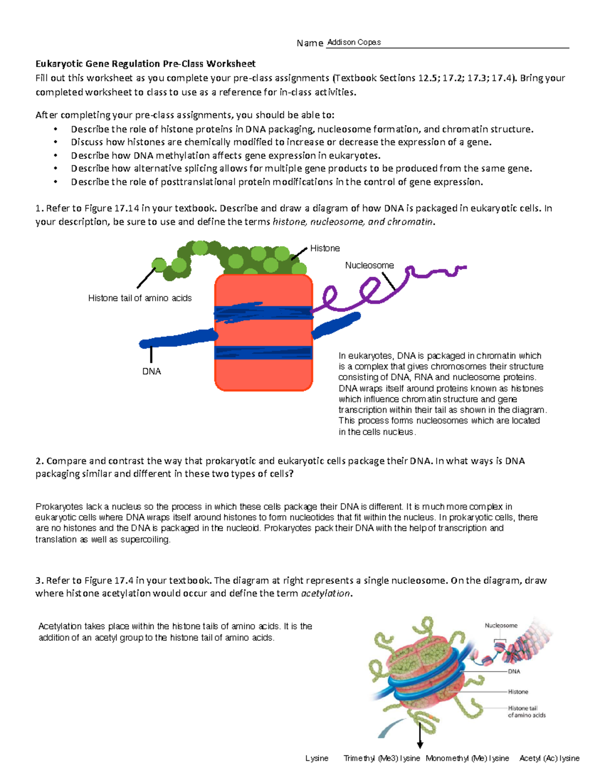 Week 8a Pre-Class Reading Guide: Eukaryotic Gene Regulation Worksheet ...