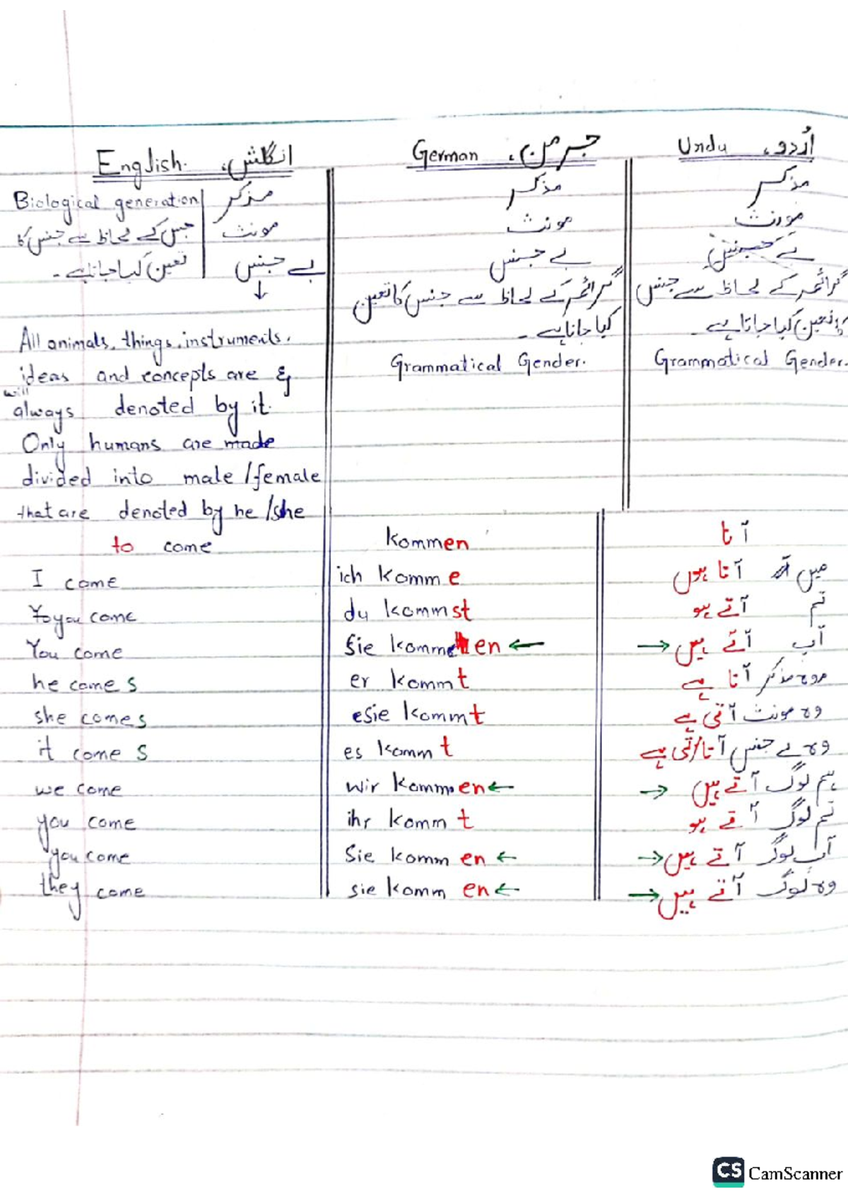 A1 Complete Notes: German Language Basics and Grammar Concepts - Studocu