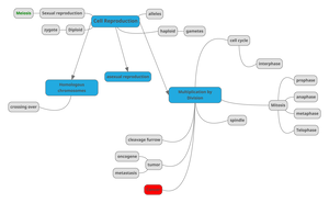 Concept Map 3 - Biology Energy and Metabolism Energy first law of ...