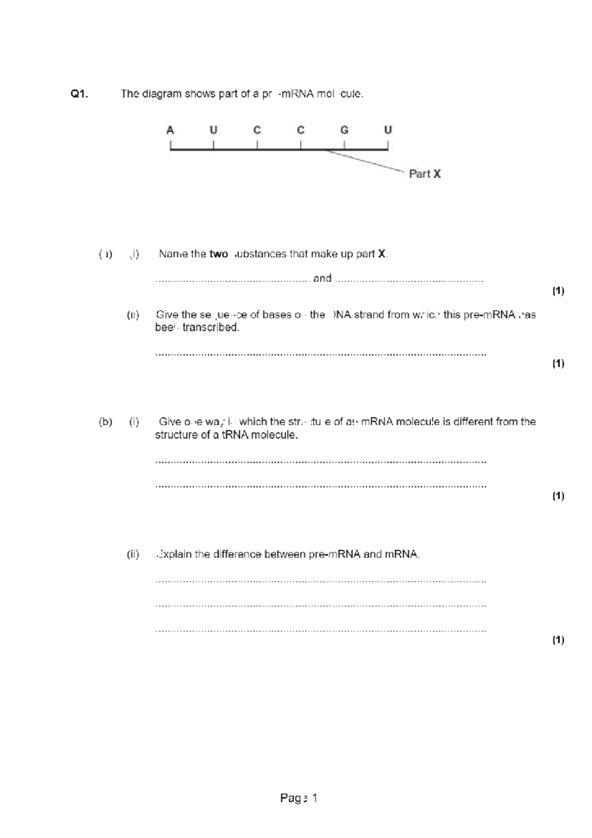 DNA, RNA & Protein Synthesis Exam Questions - Key Concepts - Studocu