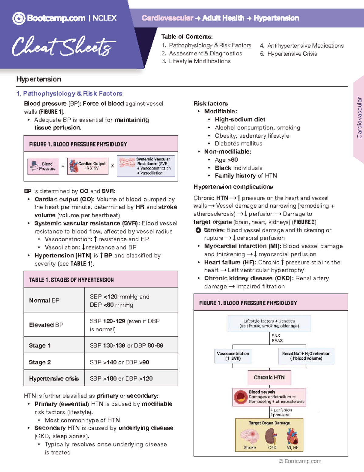Hypertension Cheat Sheet: Pathophysiology, Assessment & Management ...