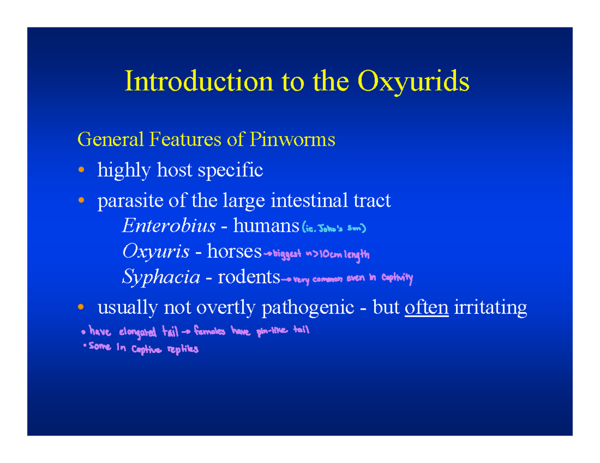 W12 L11 - 3040 - Nematodes III: Oxyurids & Pinworm Features - Studocu