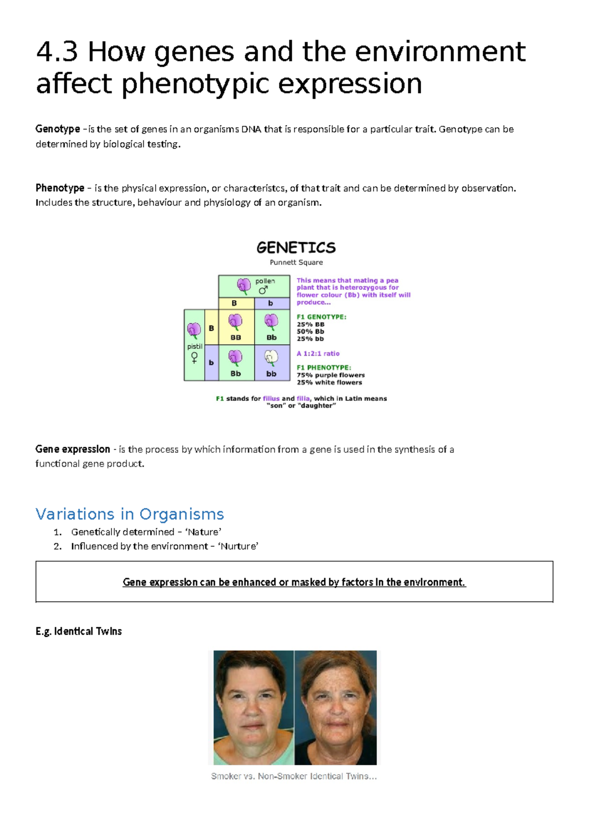 4.3 The Influence of Genes and Environment on Phenotypic Expression ...