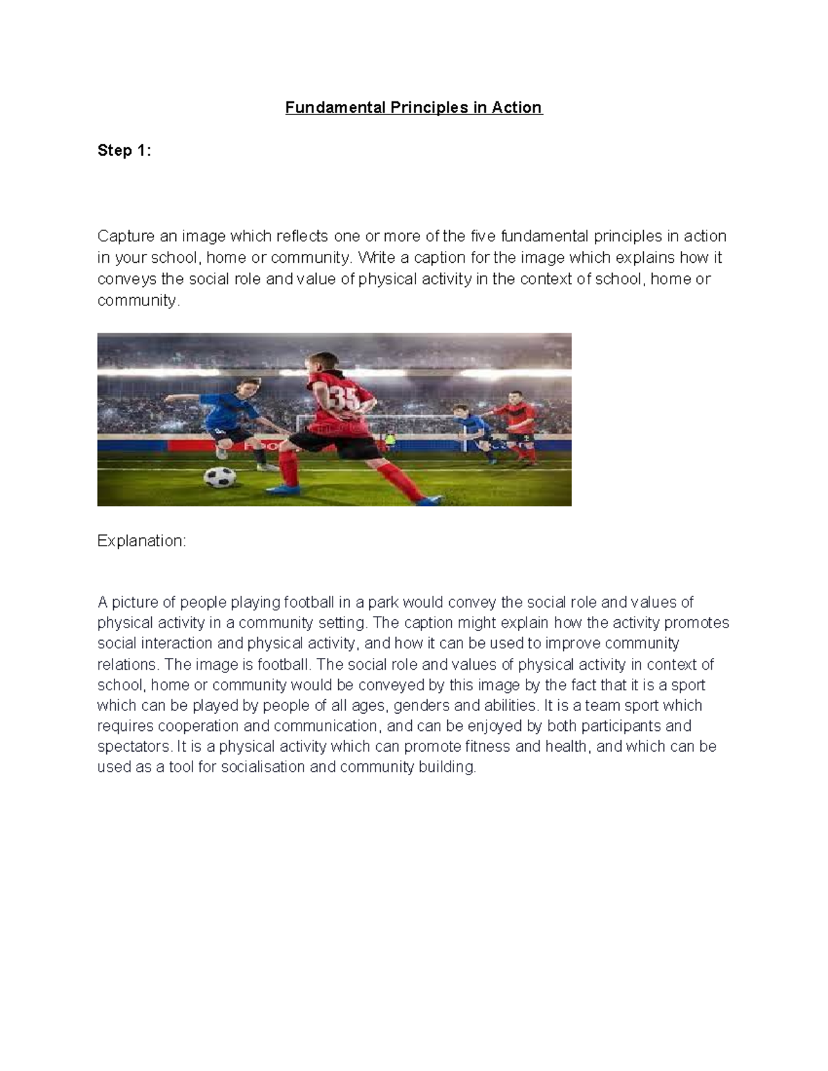 Fundamental Principles in Action: Capturing Community Through Sport ...