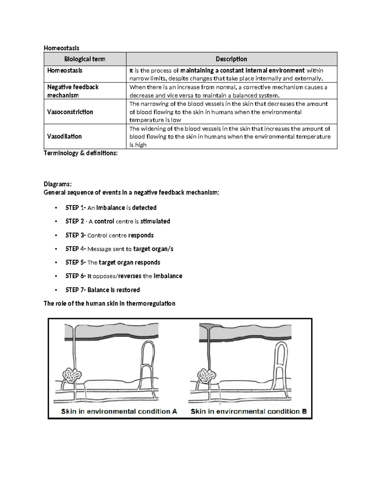 IT PAT Phase 1 Example - E-TRANSPORT GRADE 12 IT PAT 2023 GLENVISTA ...