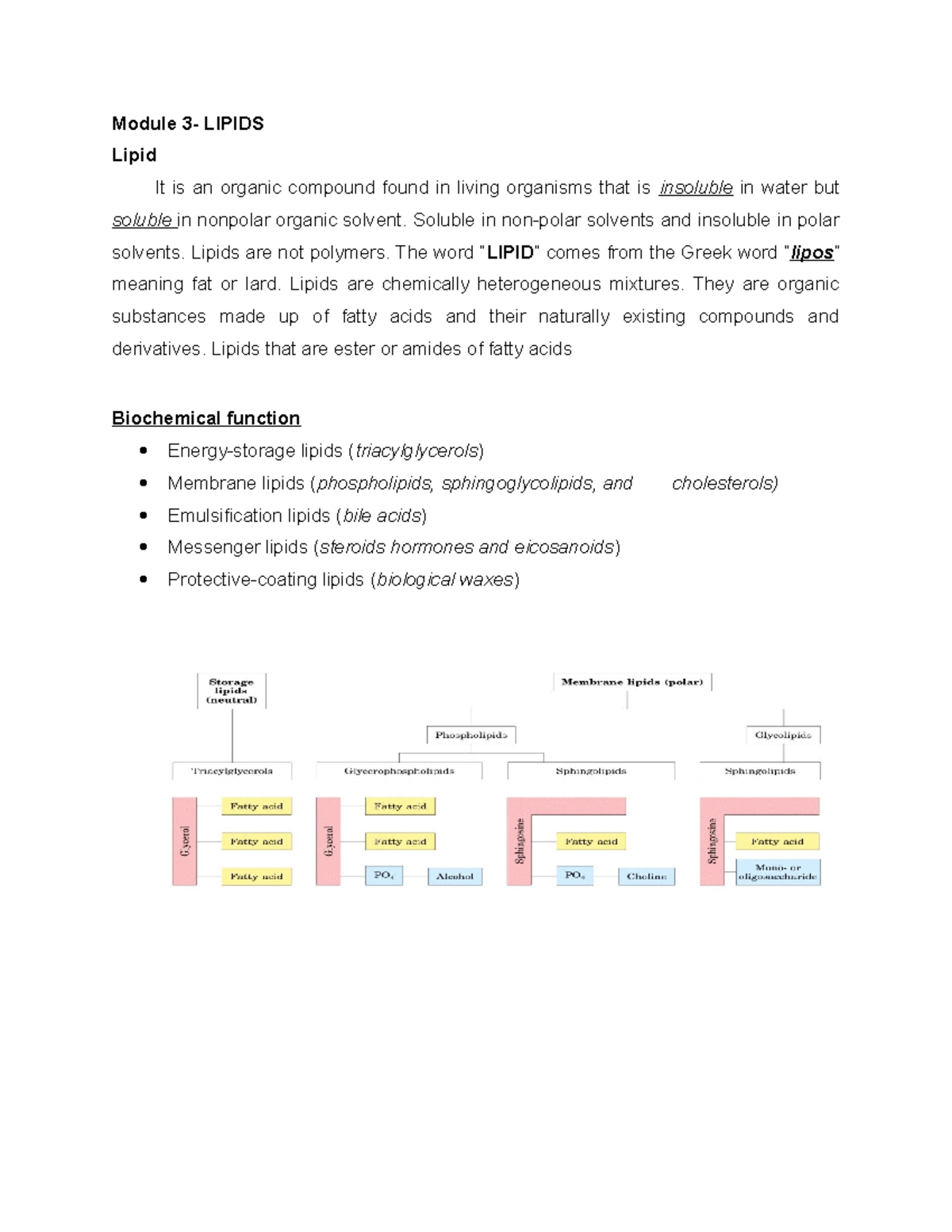 Lipids Overview - Module 3 Study Notes - Studocu