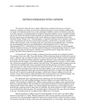 CHEM 110L - Experiment 4 Kinetics at Work - Experiment 4 Kinetics at ...