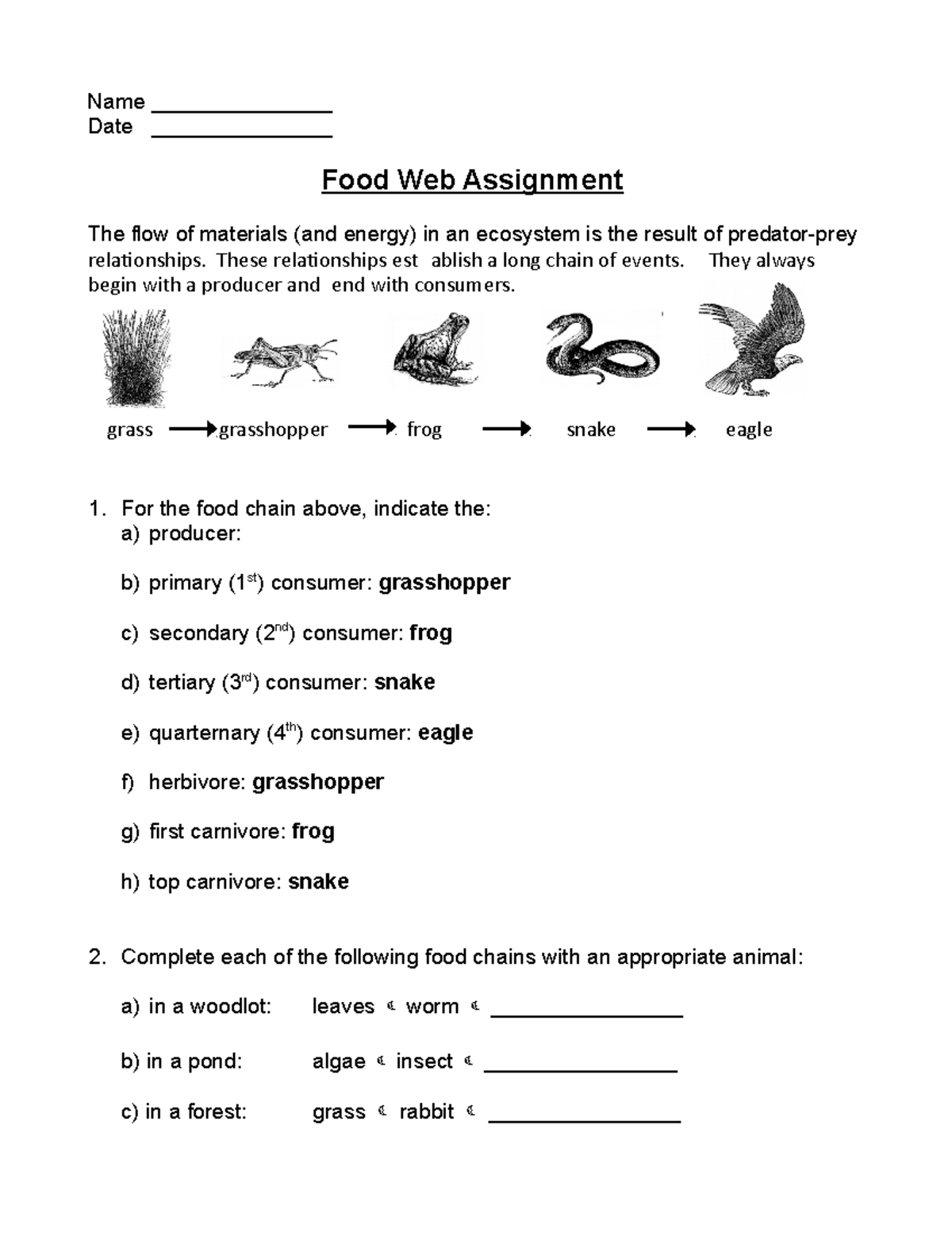 SNC1D1 - Food Web Worksheet: Exploring Ecosystem Relationships - Studocu