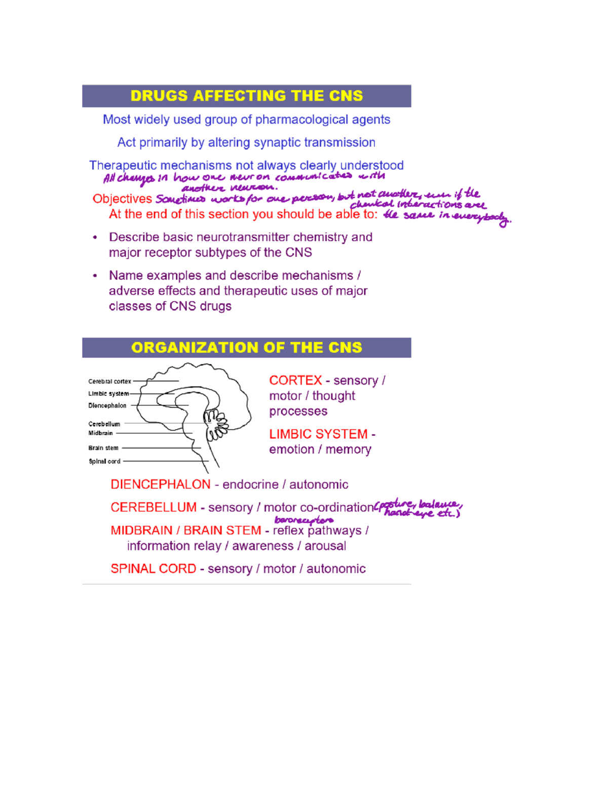 CNS Pharmacology: Neurotransmitters and Drug Effects - Studocu
