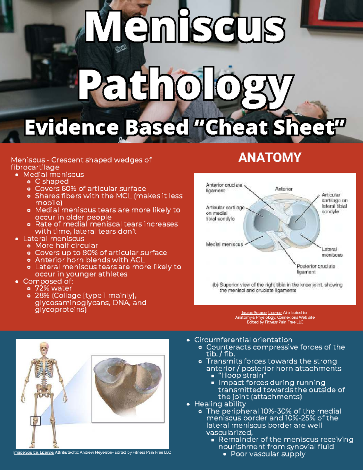 Mensicus Pathology Cheat Sheet 2025 Update: Key Insights and Findings ...