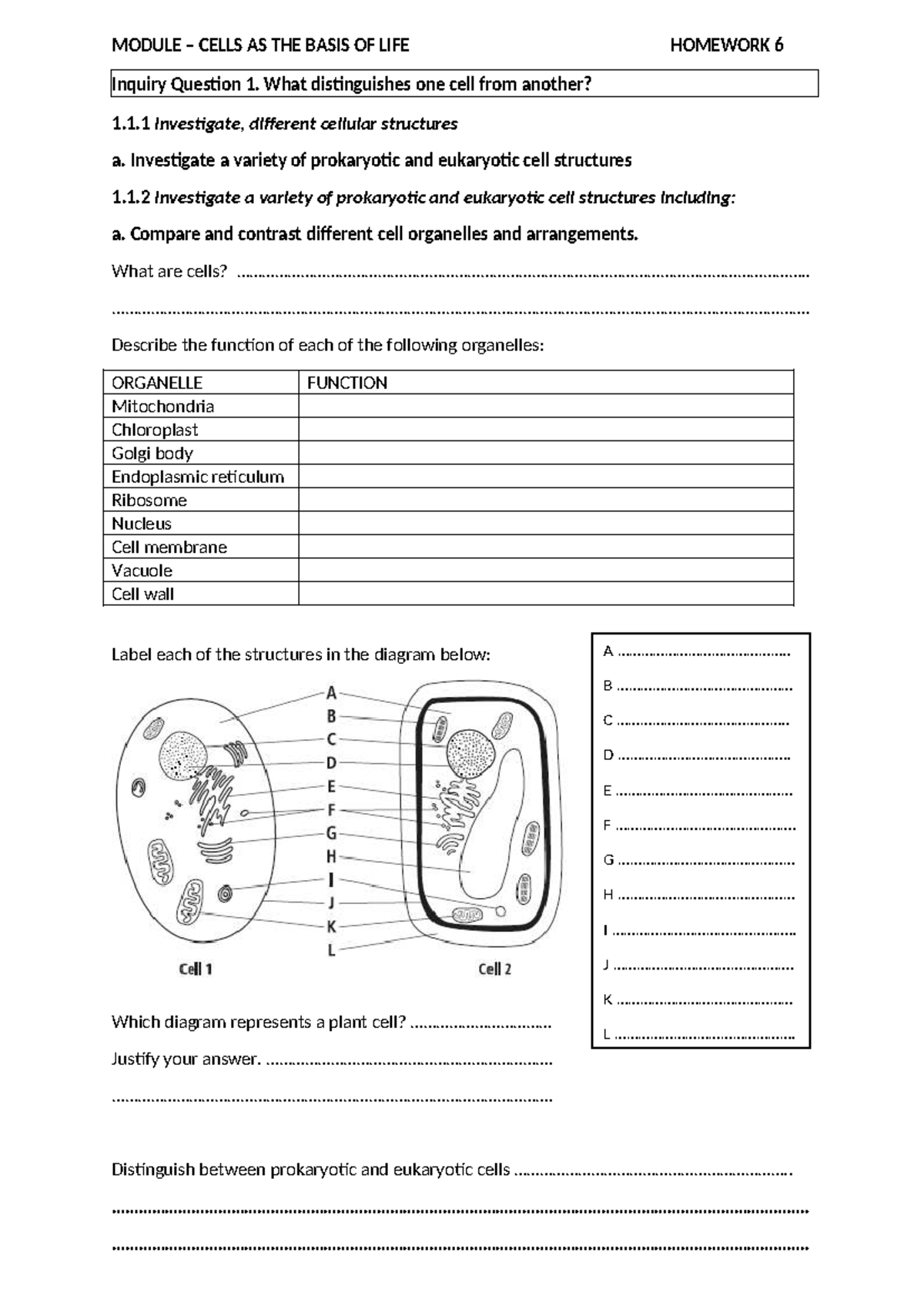 YEAR 11 BIO Homework 6: Cells as the Basis of Life - Studocu