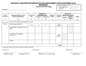 Blank Bdrrm Plan Template - BARANGAY B A T U A N BARANGAY DISASTER RISK ...