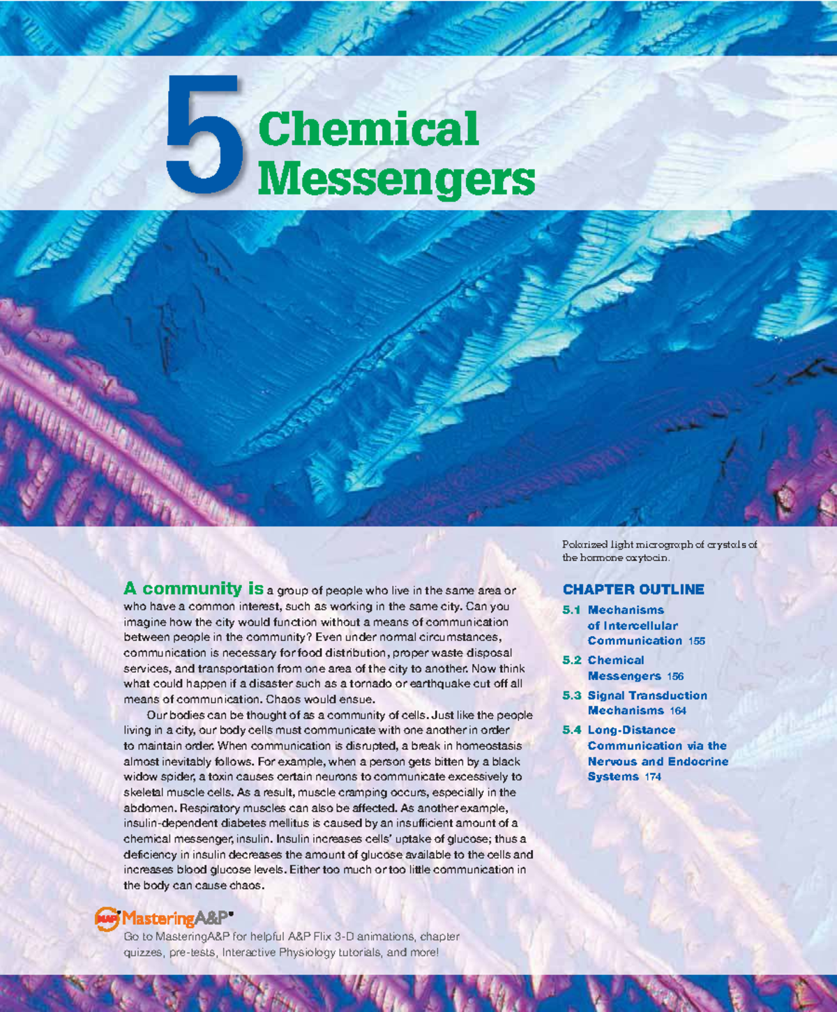 Chemical Messengers: Understanding Hormones and Cell Communication (BIO ...
