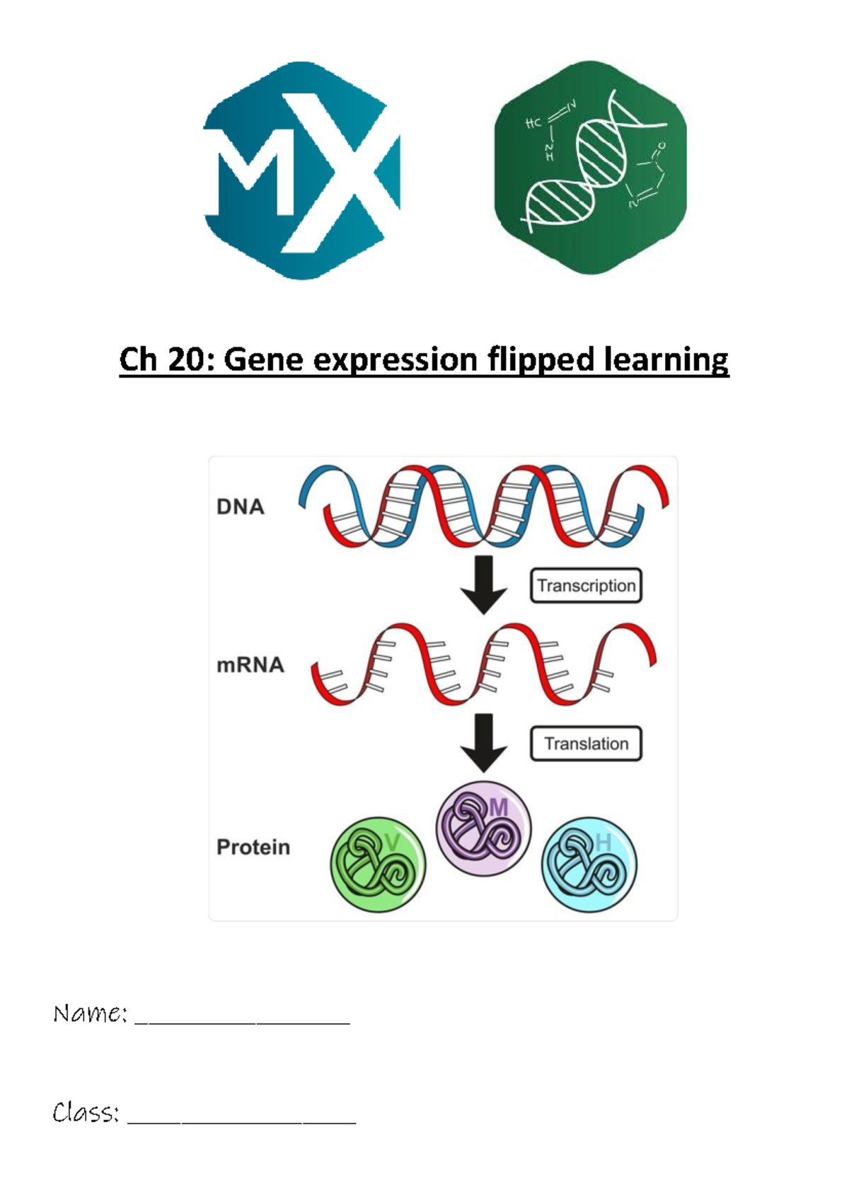 Ch 20: Gene Expression & Stem Cells Knowledge Quiz and Lessons - Studocu