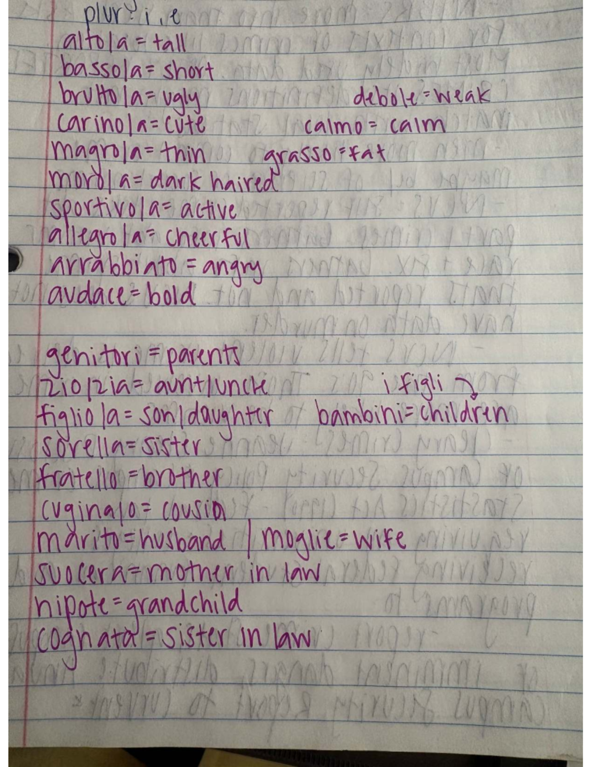 Vocabulary List: Family and Descriptive Adjectives - Studocu