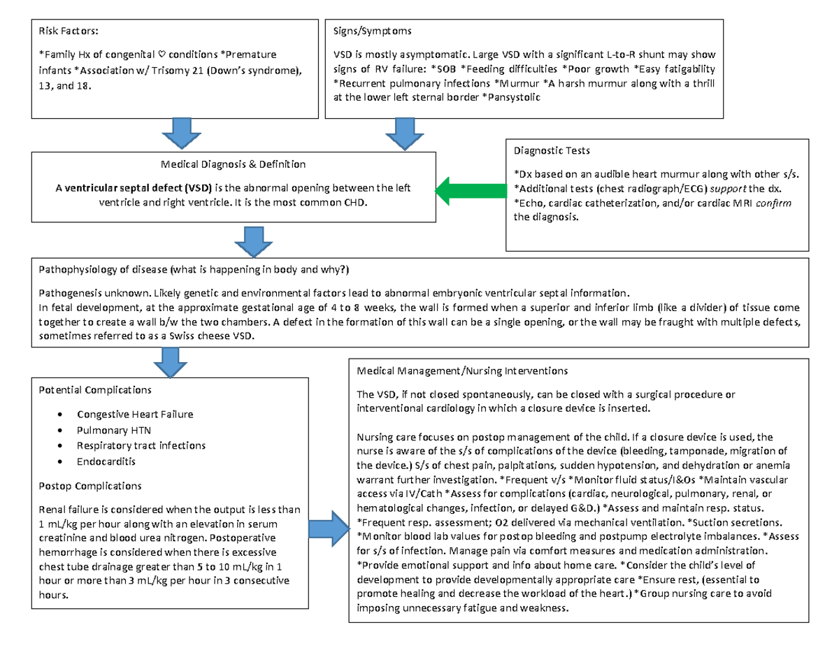 VSD Study Sheet: Understanding Ventricular Septal Defect Concepts - Studocu