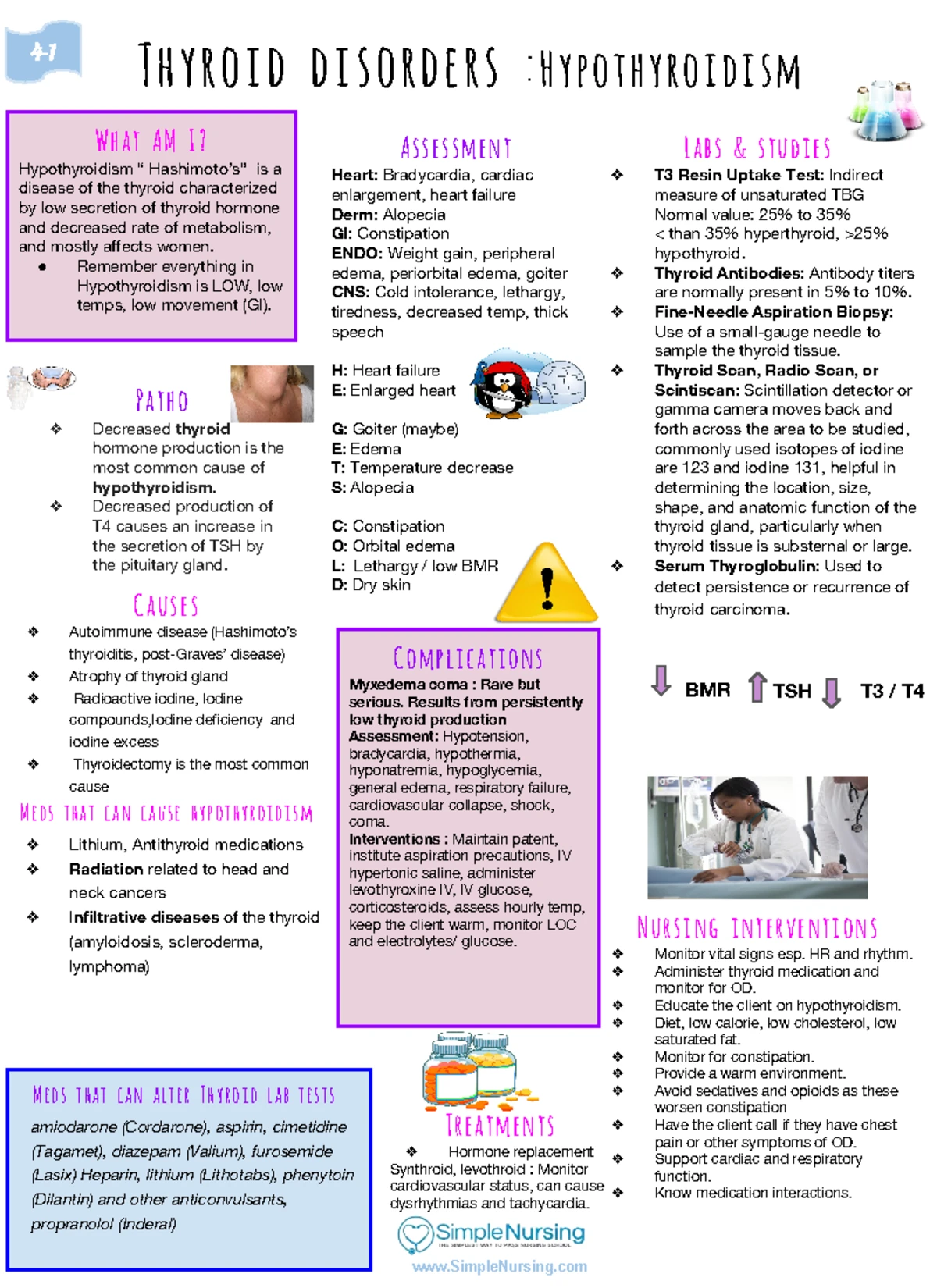 Endocrine System Final Exam Quiz Practice Questions - Studocu