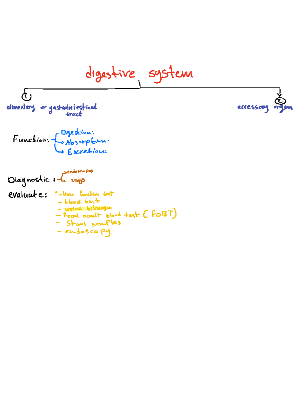 GI Nursing Studies: Digestive System & Management of Disorders - Studocu