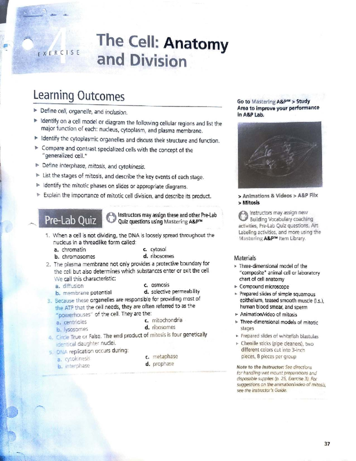 Final Exam Study Guide: Cell Anatomy & Division (Course Code: XXXXXX ...