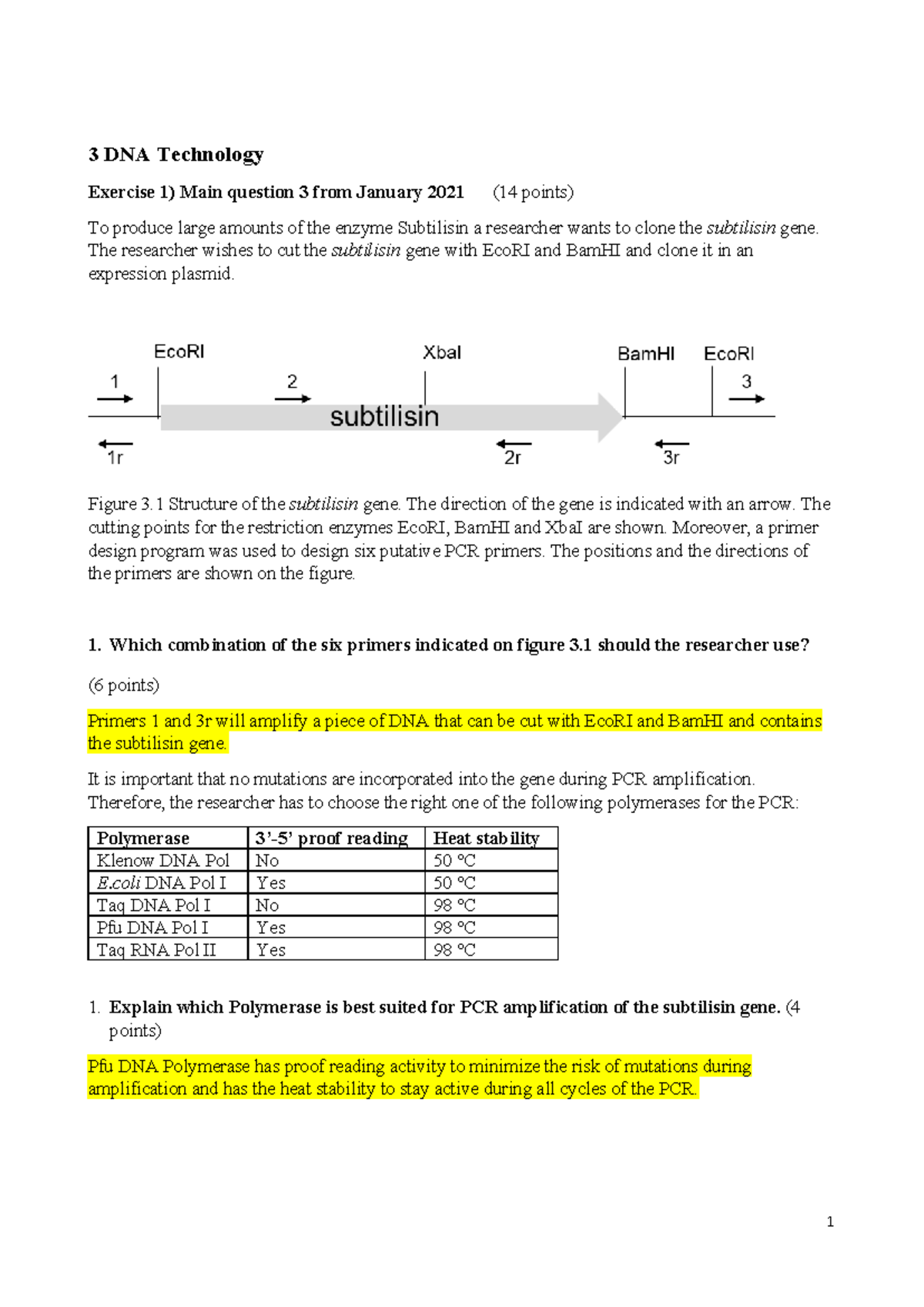 DNA Technology Exercise: Cloning Subtilisin Gene & PCR Analysis (BIO101 ...