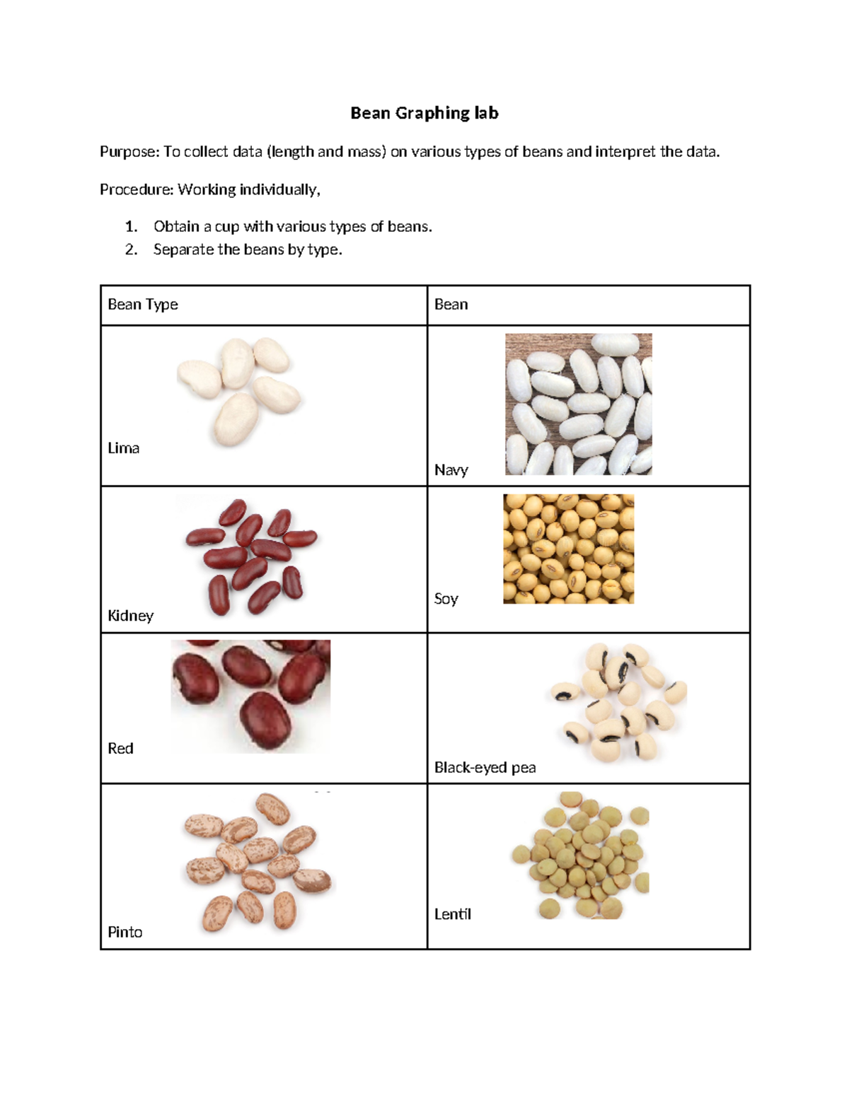 Bean Graphing Lab: Data Collection and Analysis on Various Beans - Studocu