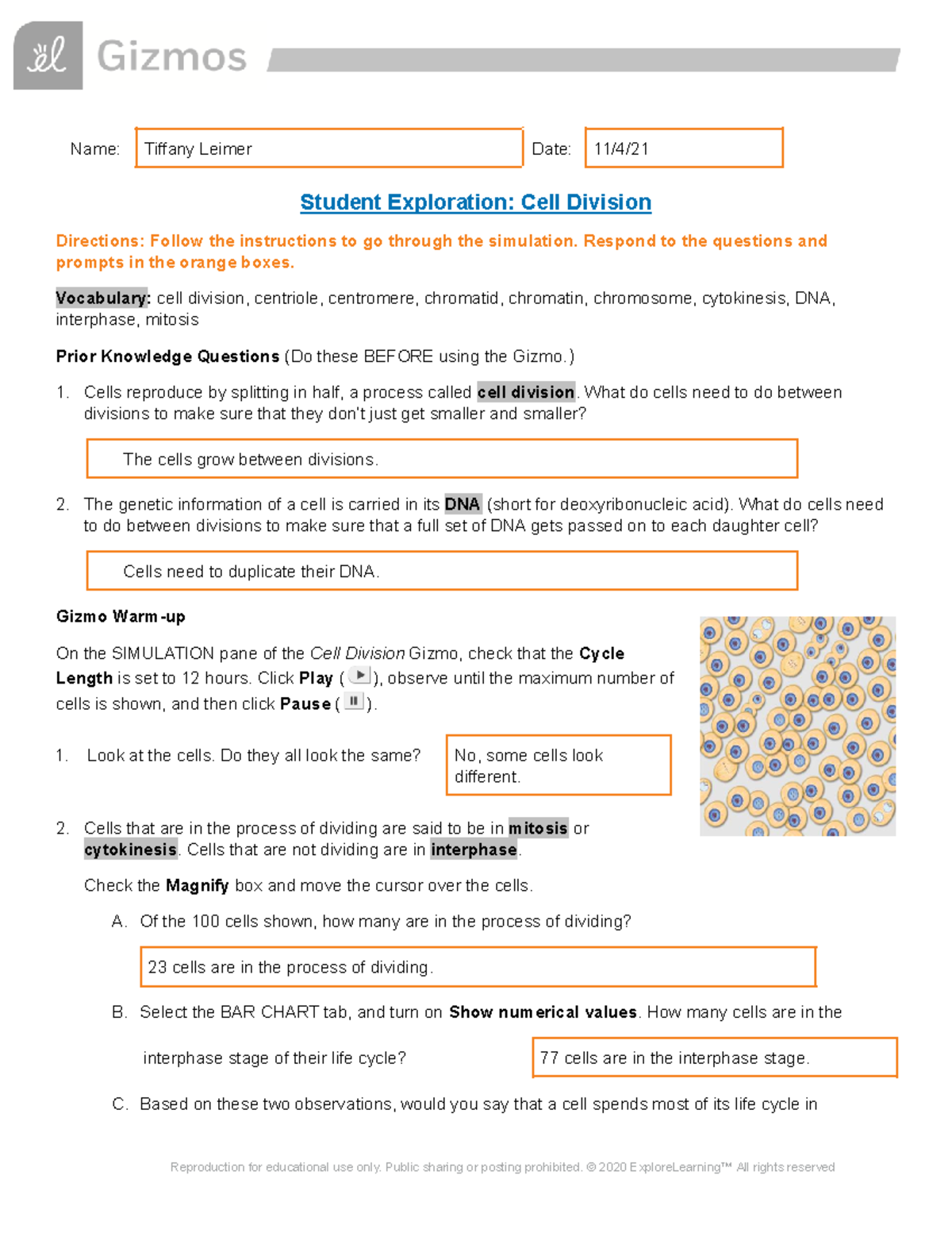 GIZMO 7953 - Student exploration of cell division simulation activities ...