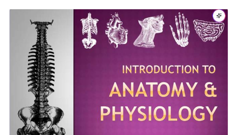 ANATOMY & PHYSIOLOGY INTRODUCTION: BODY SYSTEMS & FUNCTIONS - Studocu