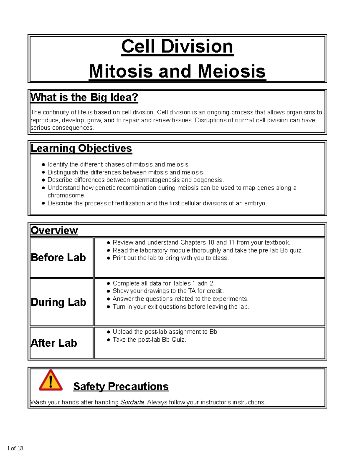 Cell Division Lab 6 - Cell Division Mitosis and Meiosis What is the Big ...