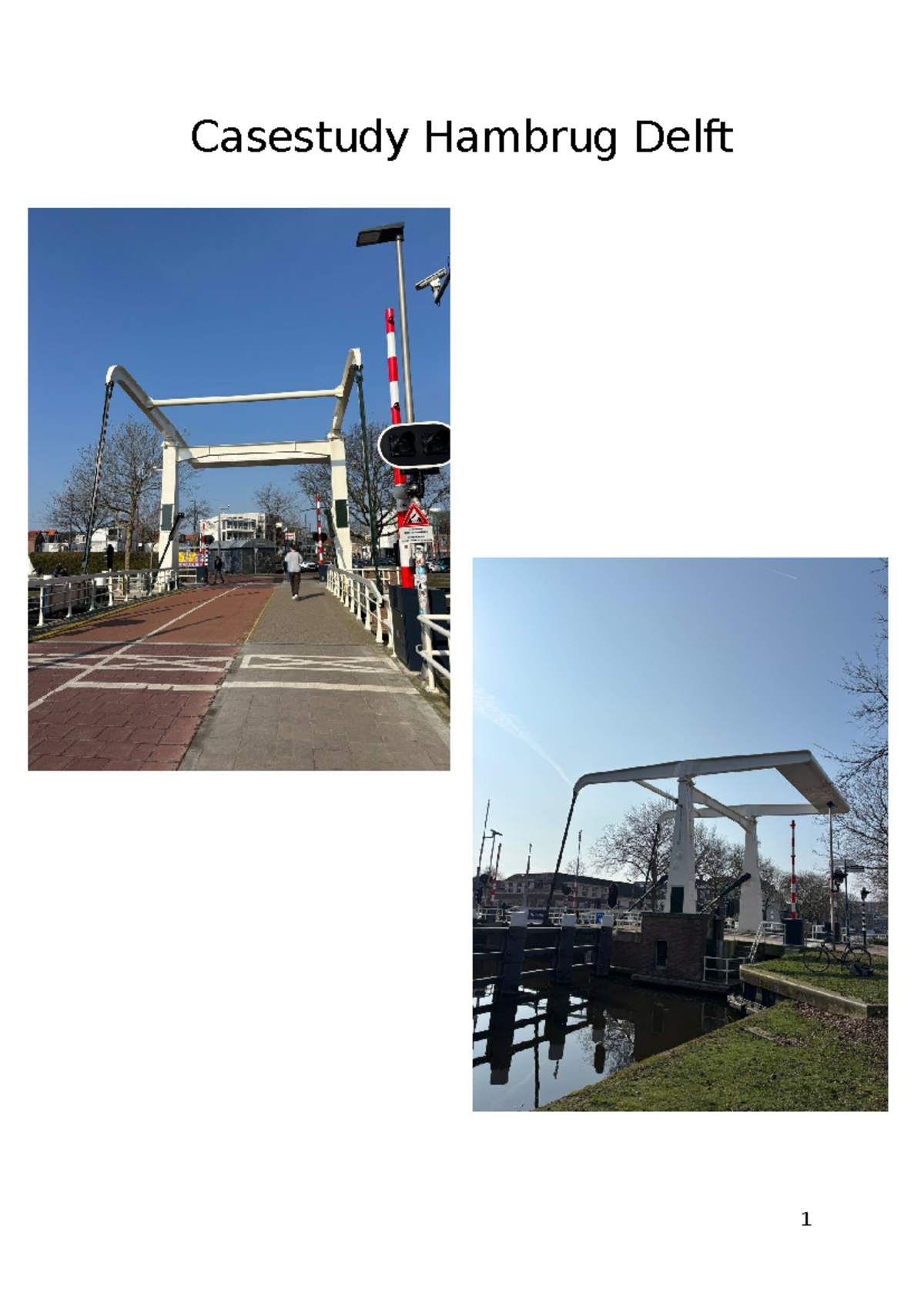 Case Study Hambrug Delft: Milieu-impact en Materiaalanalyse - Studeersnel