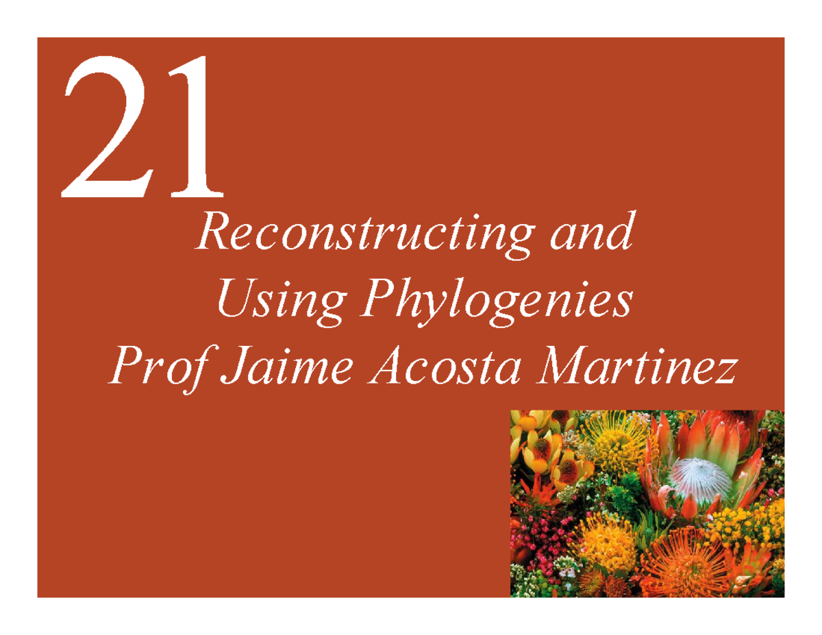 Chapter 21: Key Concepts on Phylogeny & Evolutionary Relationships ...