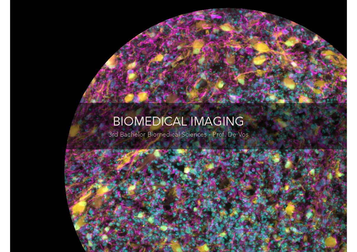 BIOMEDICAL SCIENCES 1st Year Microscopy Basics Notes (2024) - Studocu