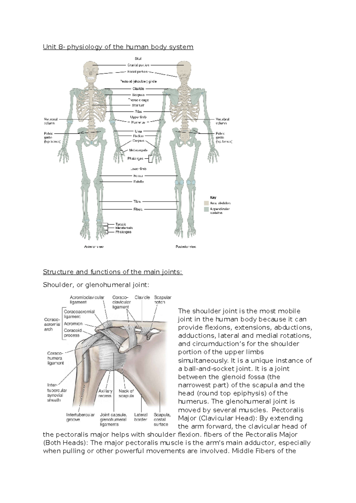 Unit 8a - Musculoskeletal System: Structure, Functions, and Disorders ...