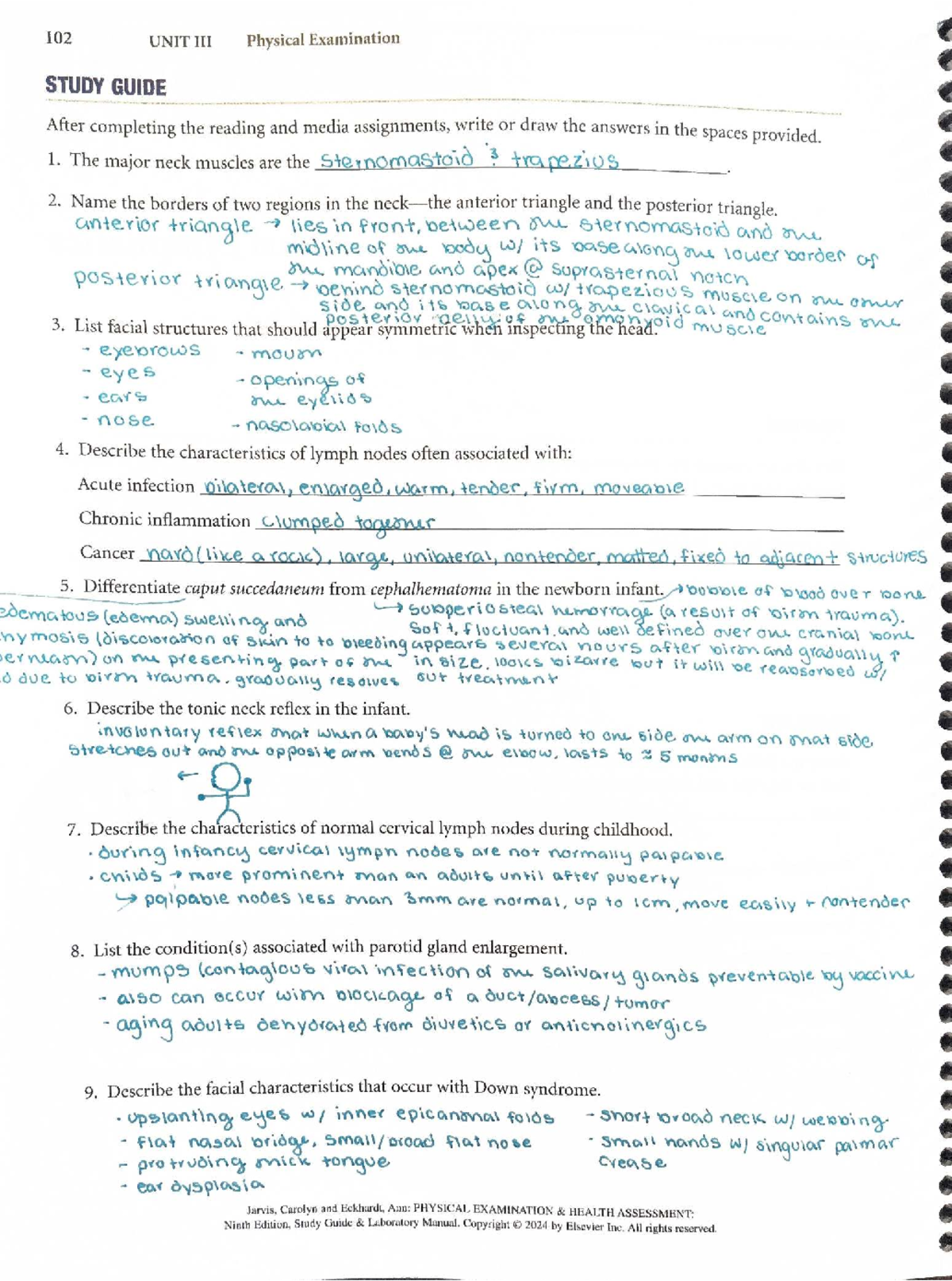 NU 202 Physical Examination Lab Ticket #5 Study Guide - Studocu
