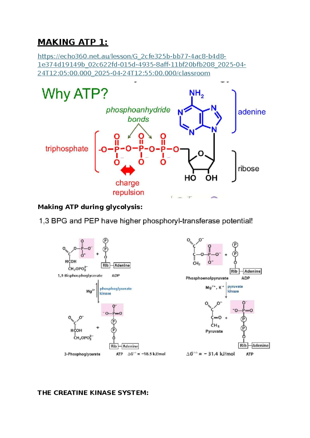 Making ATP 1: Glycolysis, Creatine Kinase, and Oxidative ...