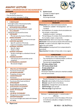 Anaphysio notes - 1 YR SUMMER – FINALS CEE 1 HUMAN ANATOMY AND ...