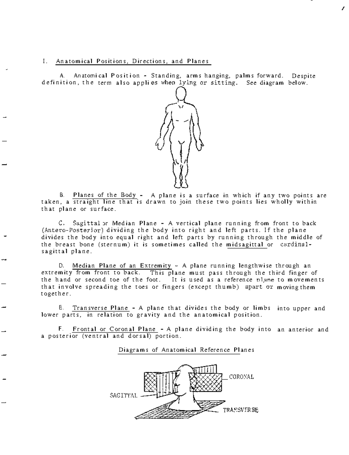 Positionings PDF - Anatomical Positioning - / I. Anatomical Positions ...
