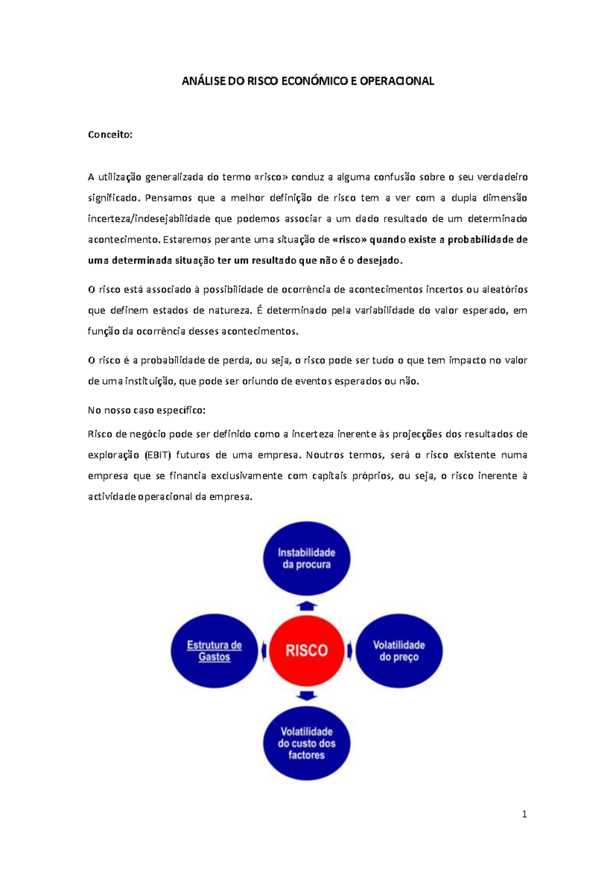 Análise do Risco Económico e Operacional: Teoria e Ponto Crítico - Studocu