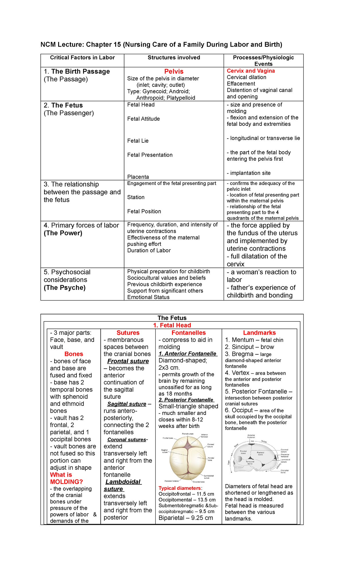 NCM Lecture: Chapter 15 - Nursing Care During Labor & Birth (Part 1 ...