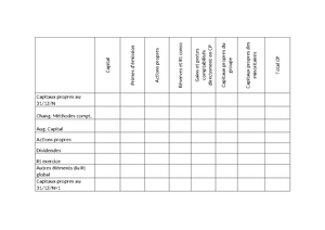 IAS 38 - Guide sur les Immobilisations Incorporelles et Leur Traitement ...